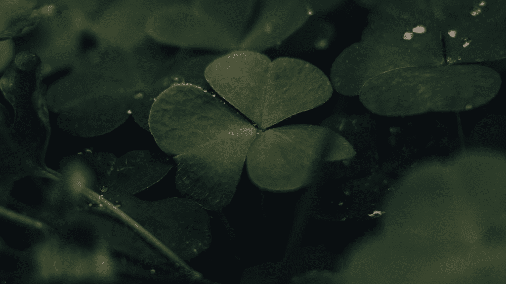 The History of the Shamrock Symbol: Ireland’s Iconic Emblem - Woollen Way